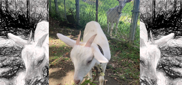 Pythonプログラムをコマンドラインから実行する方法 - 株式会社グローバルウェイ ビジネスアプリケーション事業本部